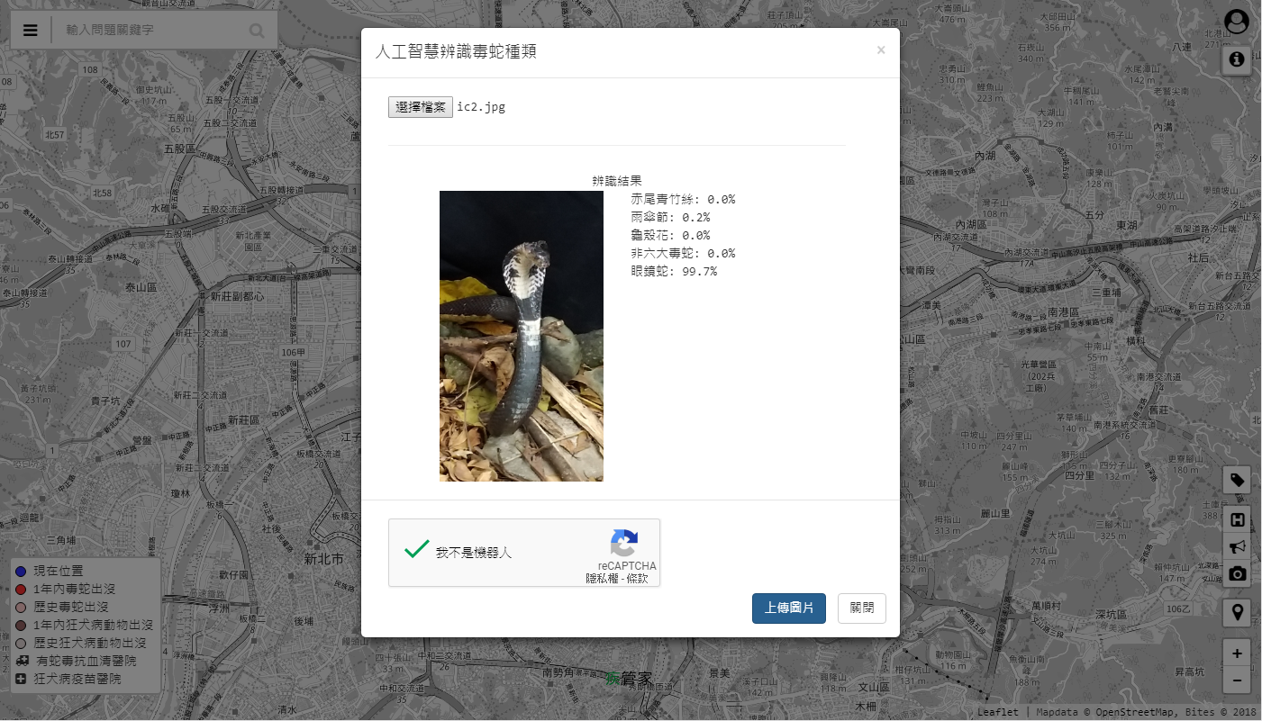 王建凱, JianKai Wang